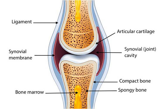 How to Relieve Joint Arthritis Pain - Infrared Sports Medical Supports